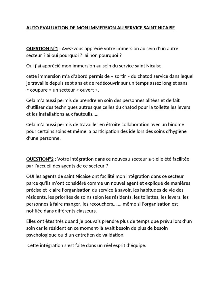 Auto Evaluation de Mon Immersion Au Service Saint Nicaise | PDF