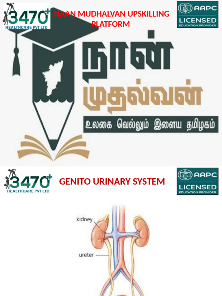 13 Genitourinary System Nms | PDF