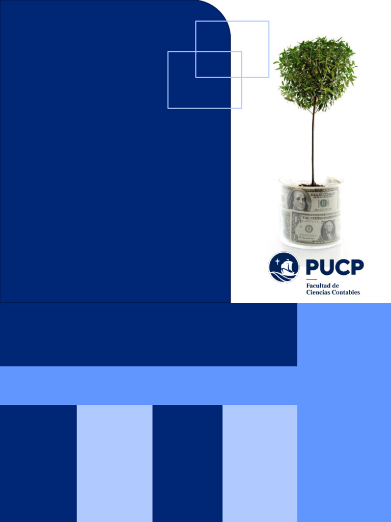 IAS 29 Información Financiera en Economias Hiperinflacionarias - 2023 | PDF