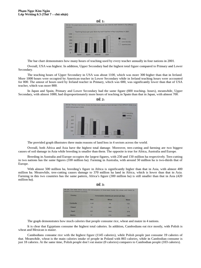 BT1 Writing task 1 | PDF