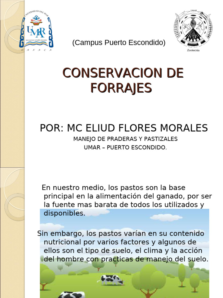 Conservacion de Forrajes Heno Silo Henolaje | PDF