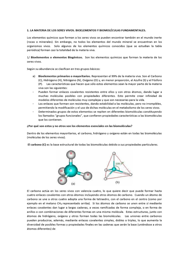 Tema 1 Segundo Bachillerato Biología. Bioelementos y Biomoléculas. Agua y Sales. | PDF ...