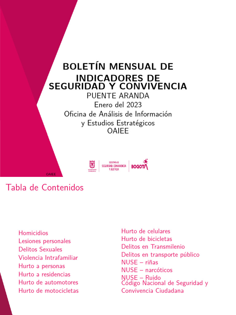 Reporte_puente_aranda_2023_01 | PDF