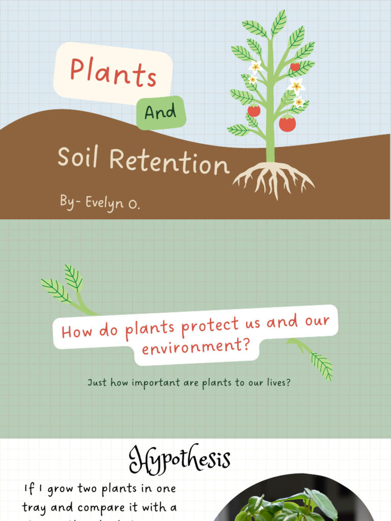 Plants and Soil Retention | PDF
