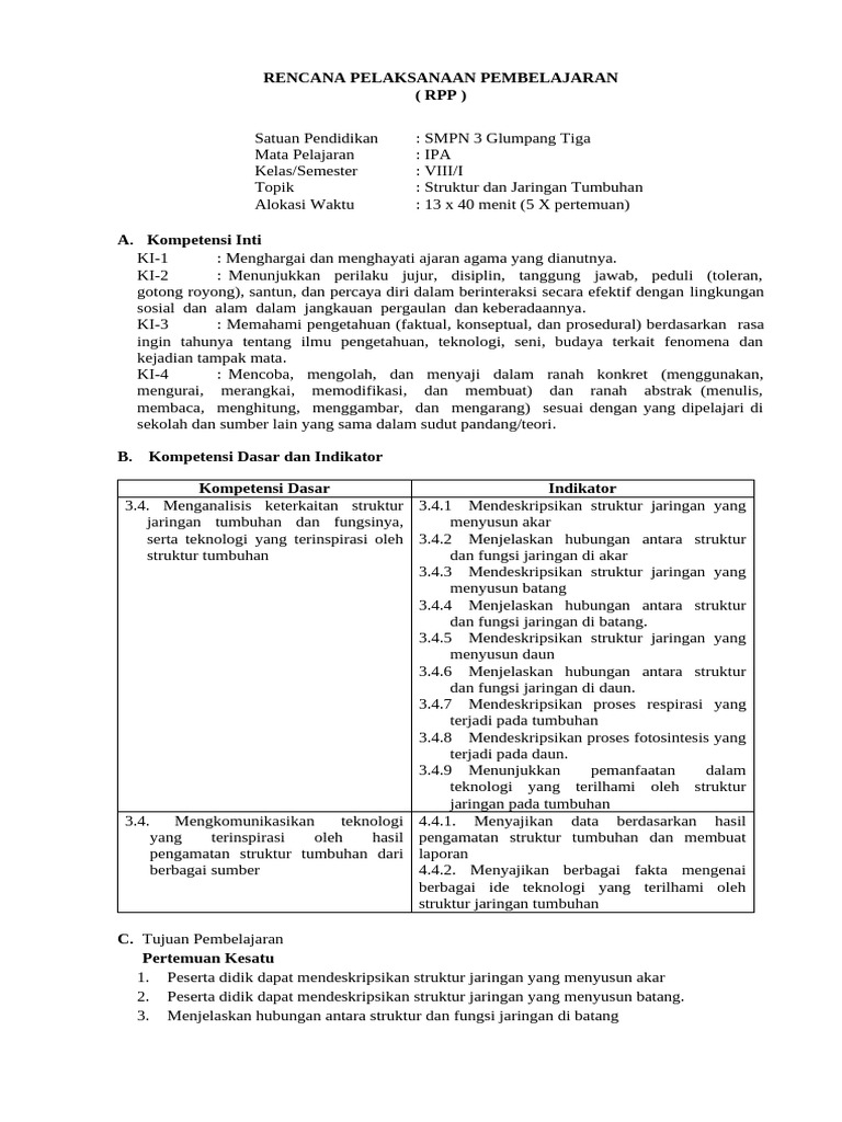 4 RPP Struktur Tumbuhan | PDF