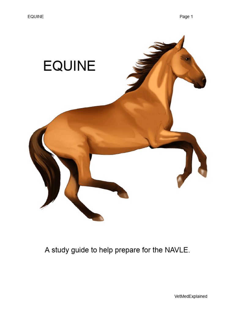 Navle Equine 2 | PDF