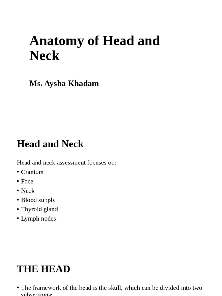 Anatomy of Head and Neck | PDF