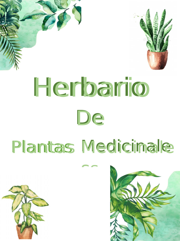 Portada de Herbario | PDF