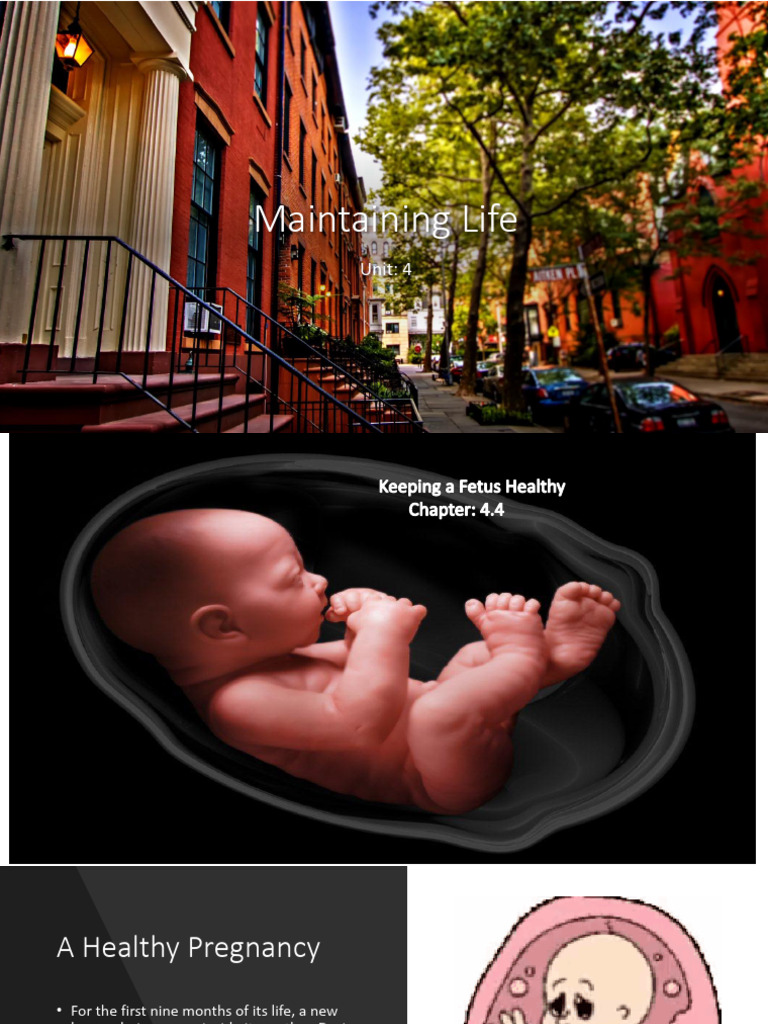 4.4 Keeping A Fetus Healthy | PDF