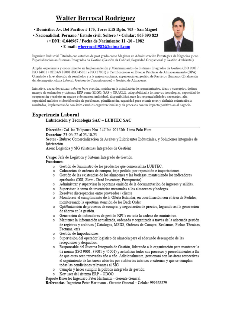 CV-Walter Berrocal | PDF | Logística | Negocios