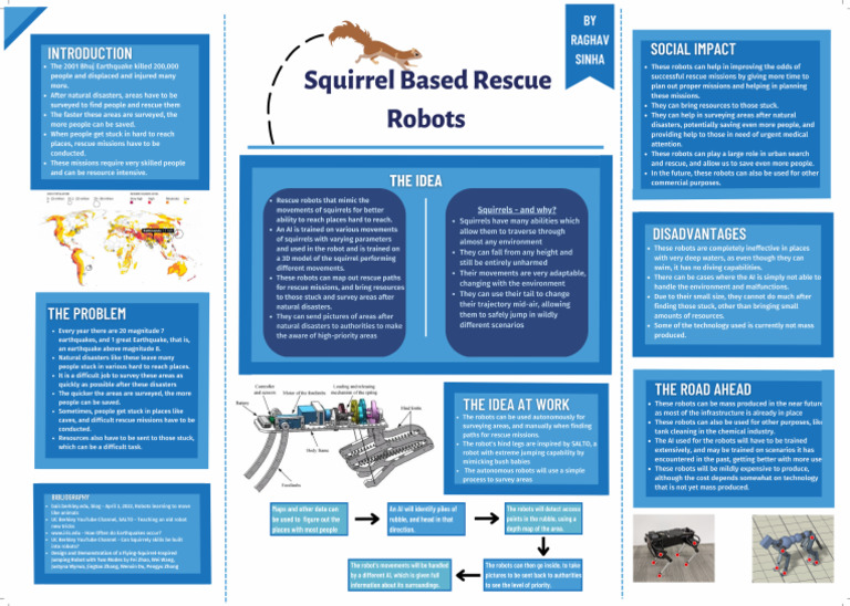 Raghav Sinha Project Display Board | PDF