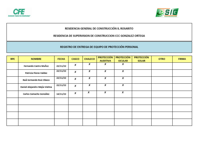 Registro de Entrega de Epp Cfe | PDF