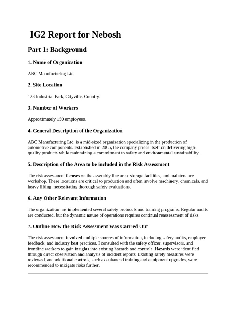 IG2 Report For Nebosh CHATGPT | PDF