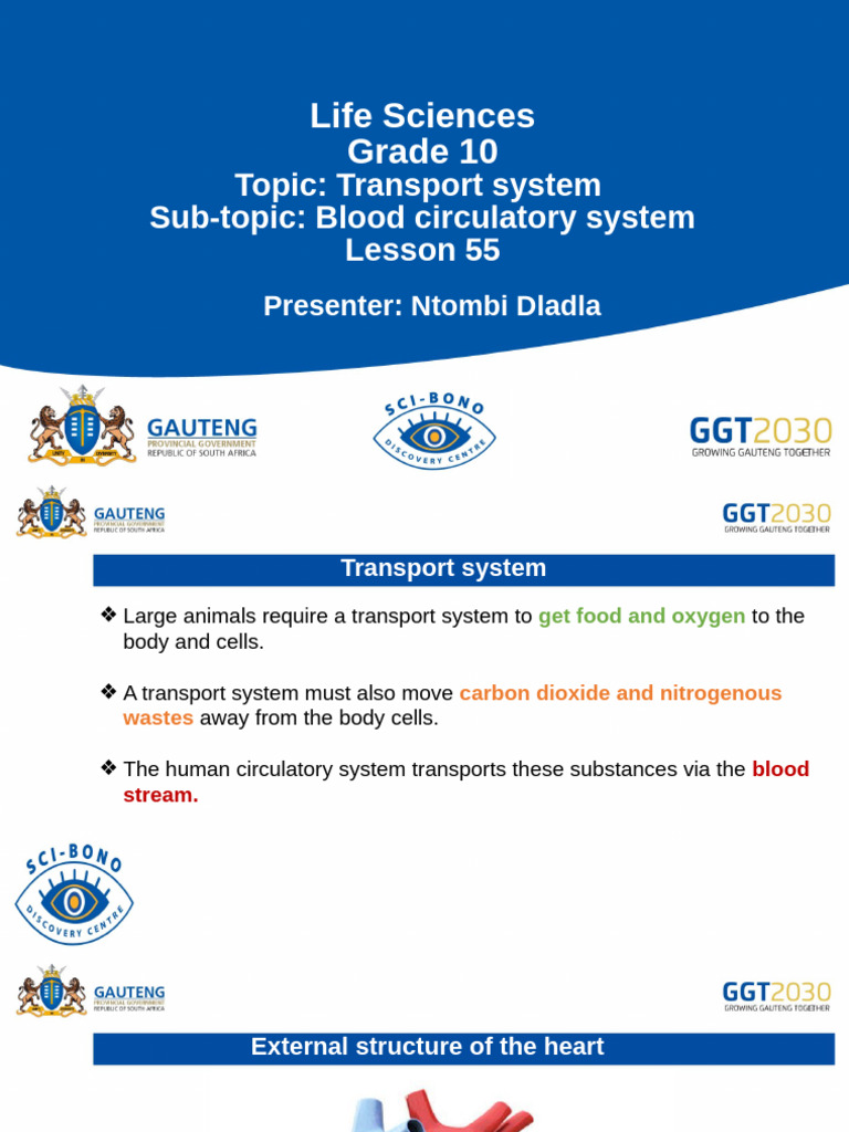 Life Sciences Gr.10 Lesson 55 Transport System Blood Circulation System ...