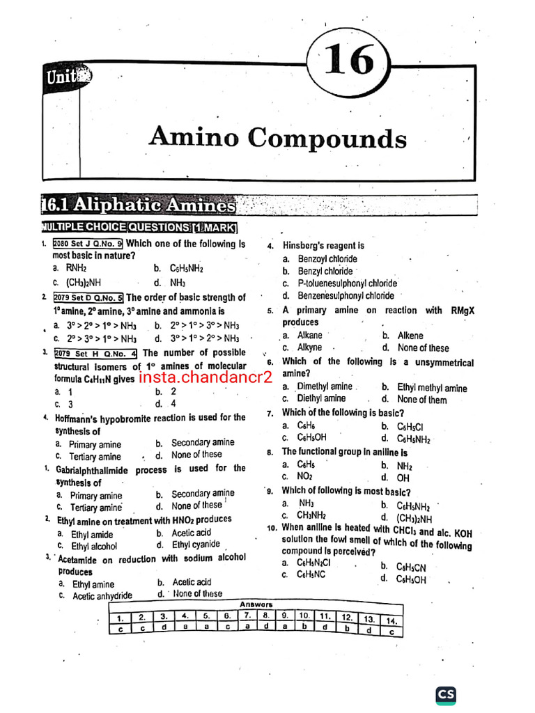Amino Compounds | PDF