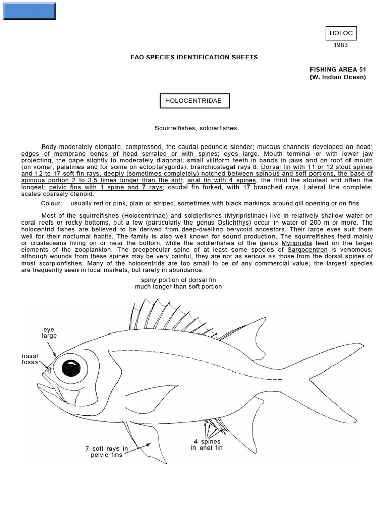 Fao Species Identification Sheets Fishing Area 51 (W. Indian Ocean) | PDF