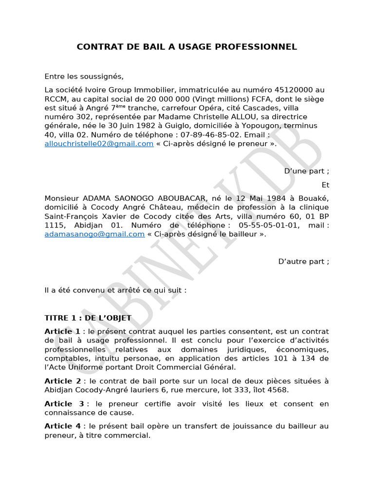 Redaction d'Un Contrat de Bail à Usage Professionnel | PDF