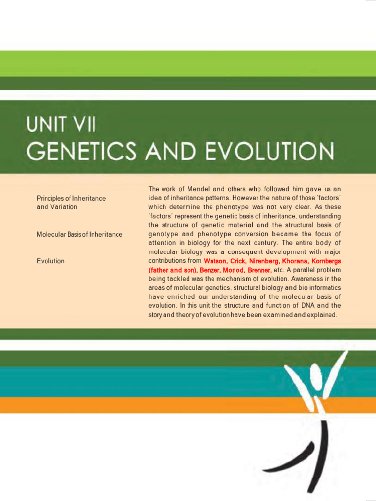 Genetics Chapter 1 Principal of Inheritance and Variation | PDF | Dominance (Genetics) | Zygosity