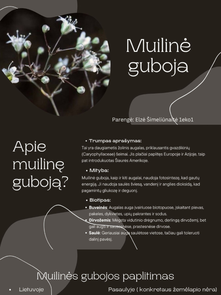 Muilinė Guboja | PDF