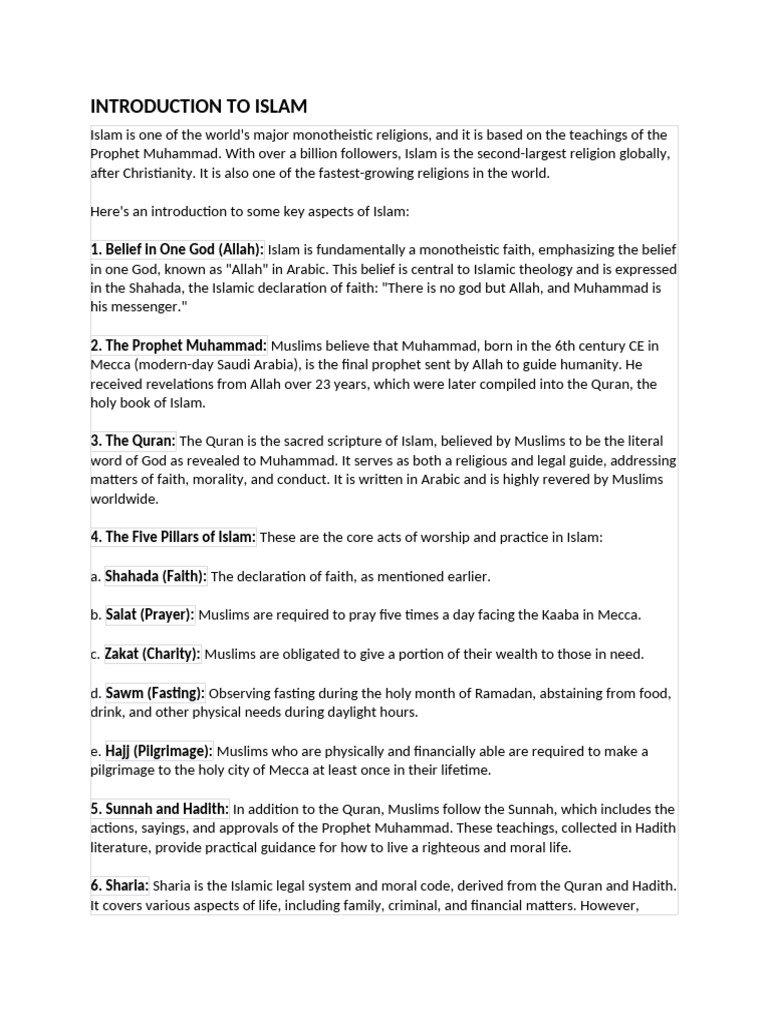 INTRODUCTION TO ISLAM | PDF
