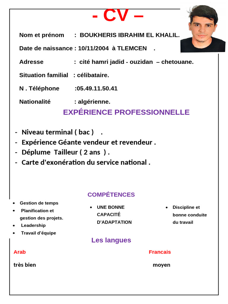 CV Francais | PDF