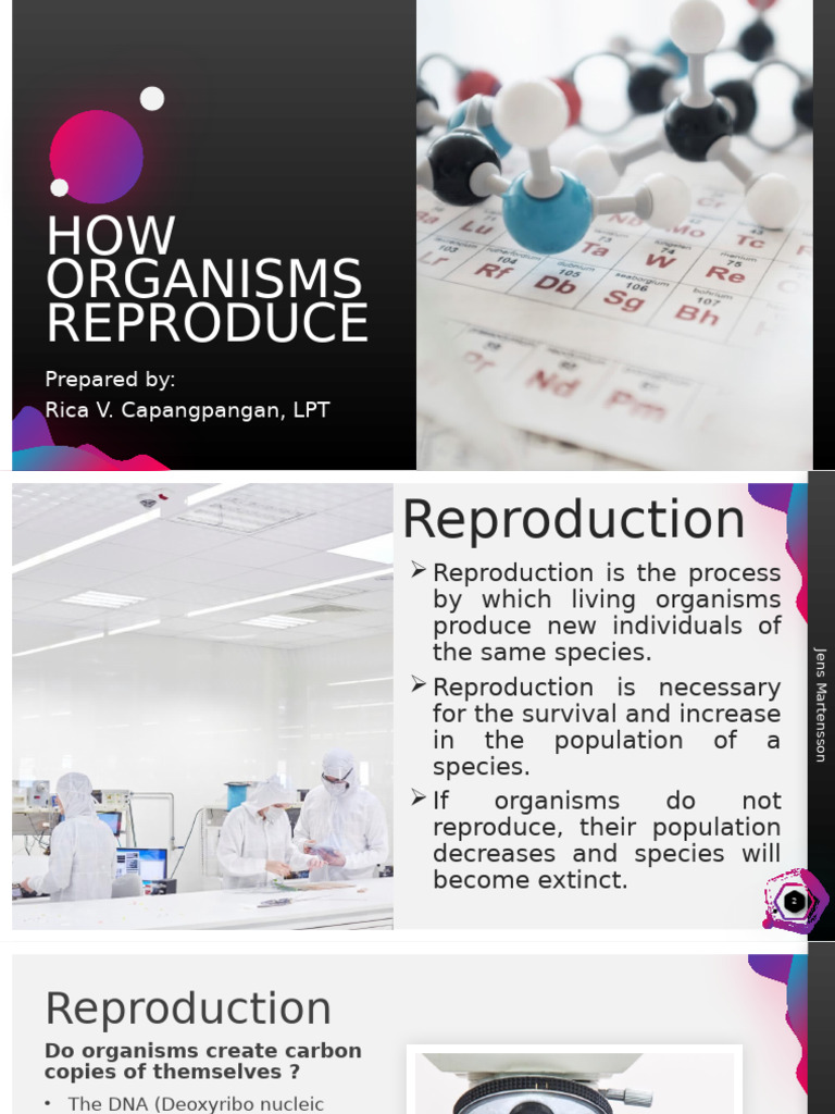 How Organisms Reproduce | PDF | Reproductive System | Self-Improvement
