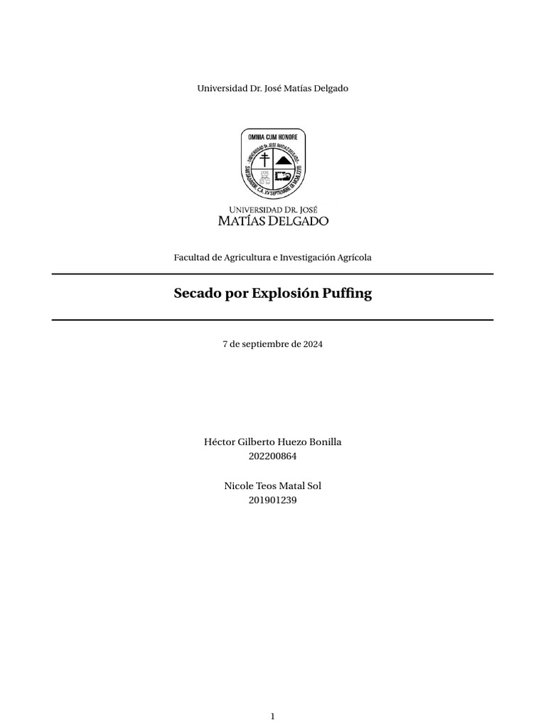 Ensayo IAl II Puff Drying | PDF