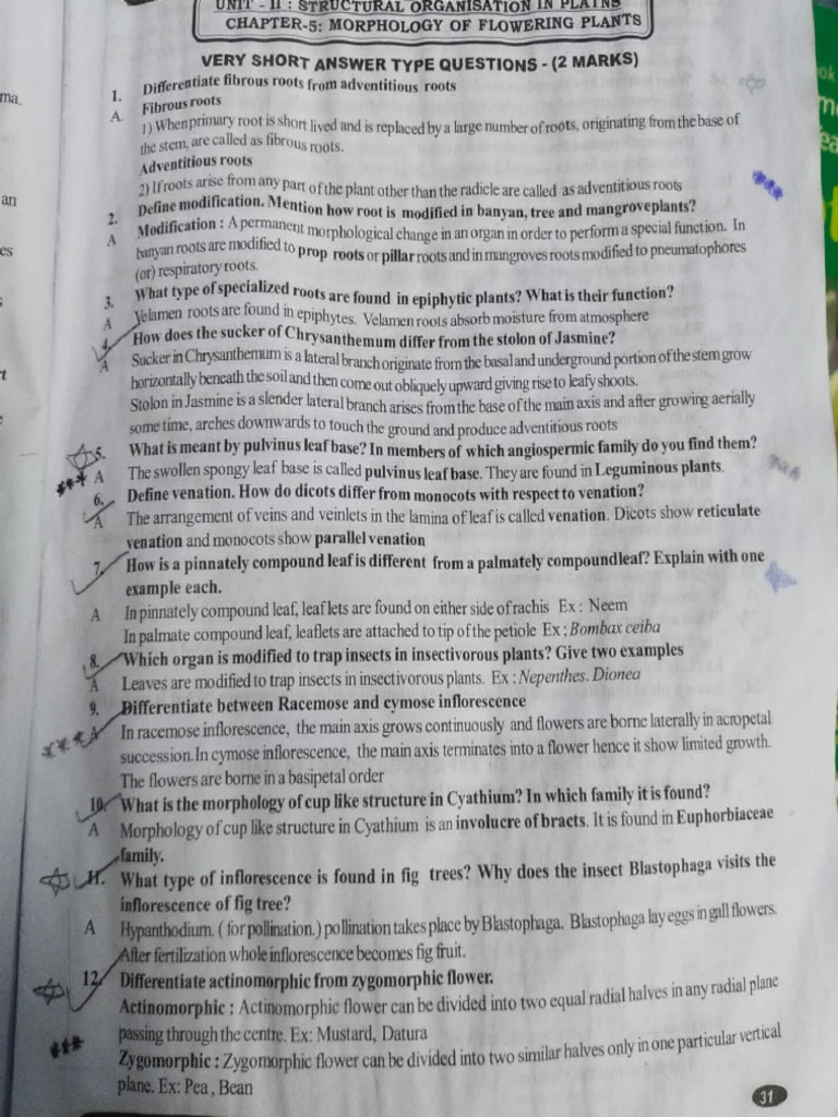 botany ch- morphology of flowering plants (2) | PDF