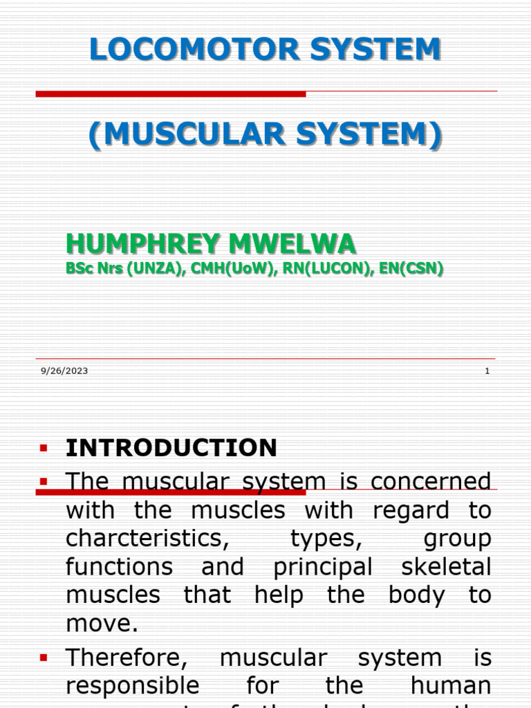 06 Locomotor-Muscular System | PDF | Pelvis | Wellness