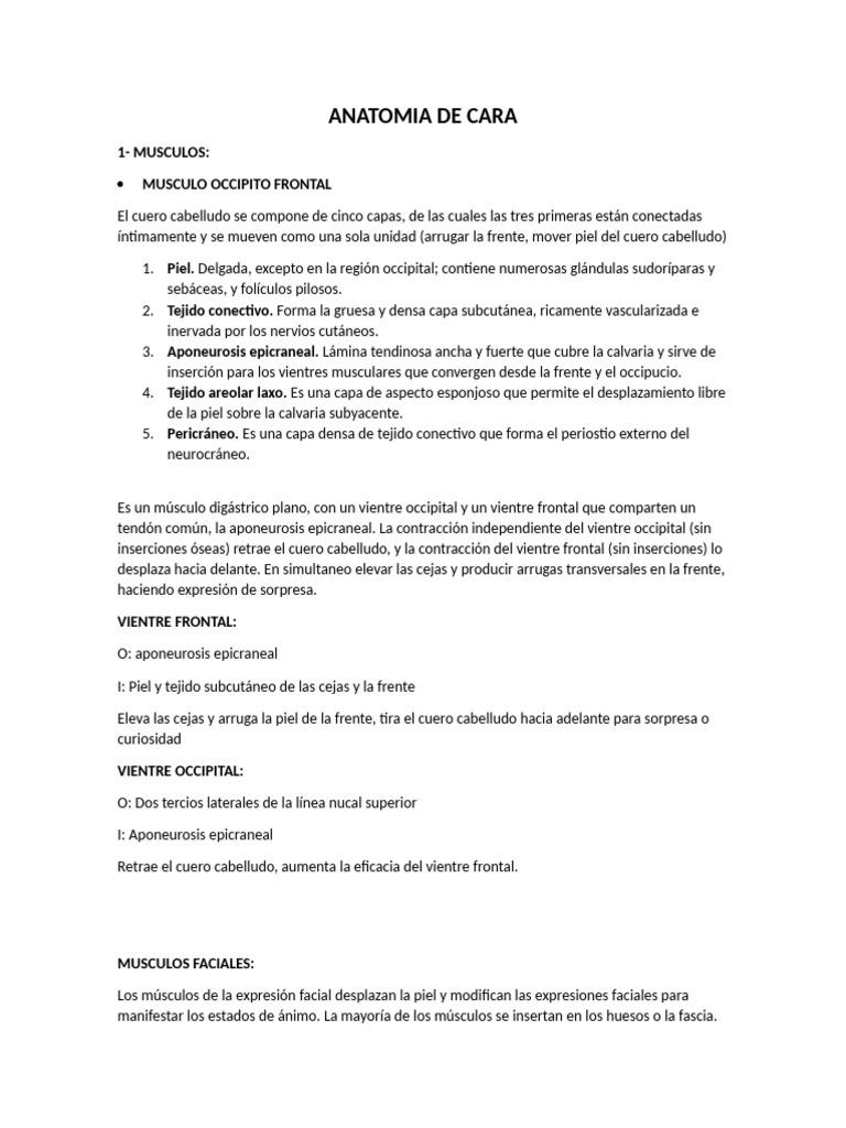 ANATOMIA DE CARA | PDF