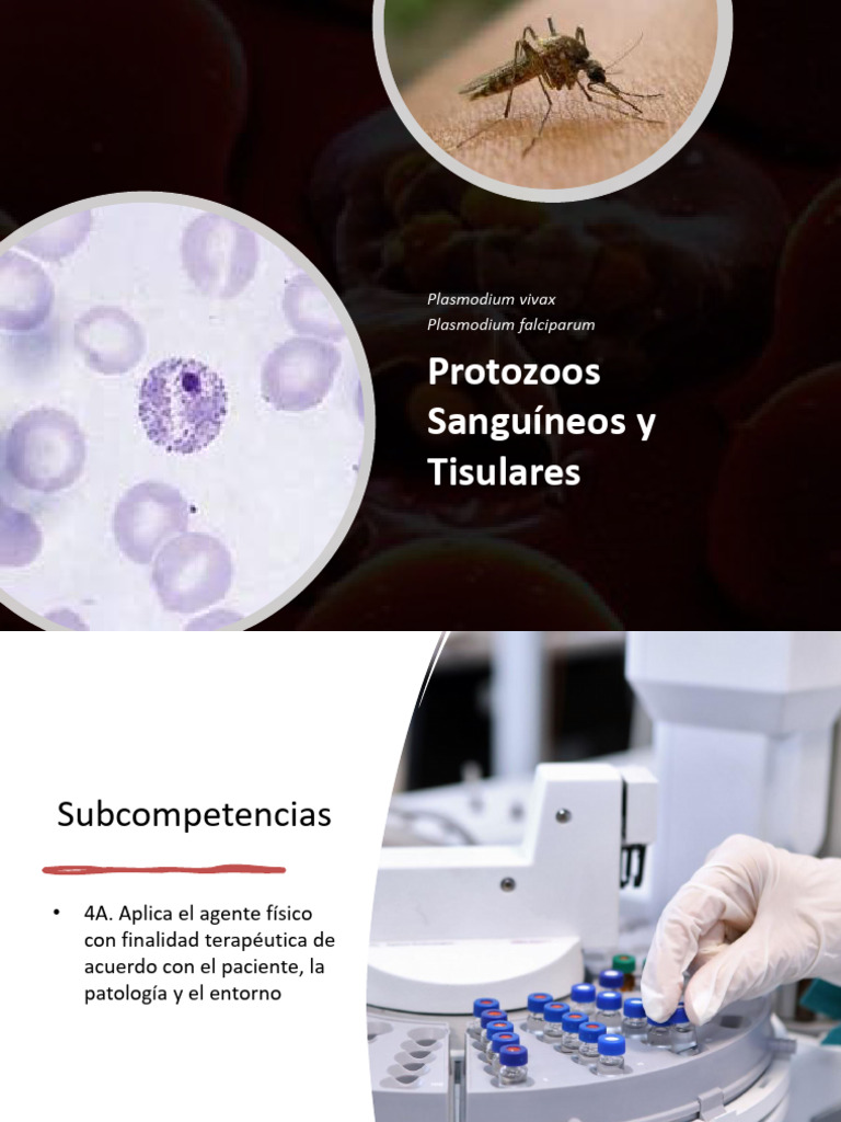 S7 C12. Protozoos Intestinales y Tisulares. Plasmodium Vivax y ...