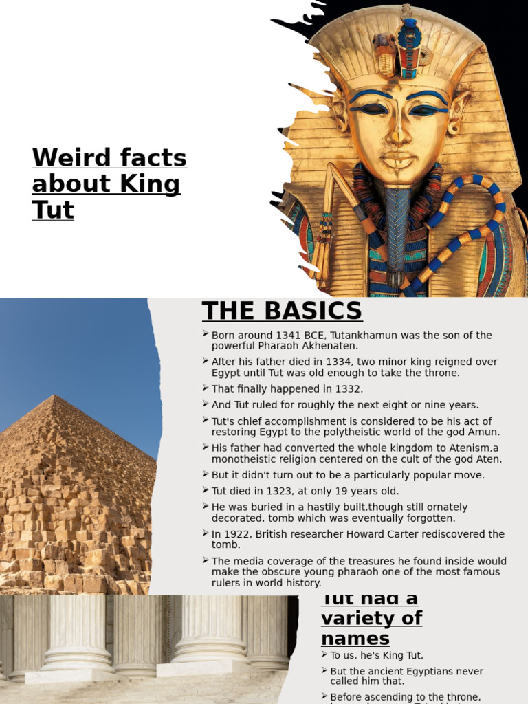 Weird Facts About King Tut | PDF