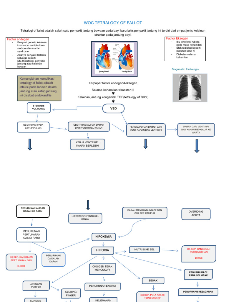 Re WOC TOF IMAN | PDF
