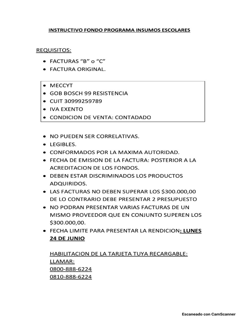 Instructivo y Formulario de Rendicion - Insumos Escolares | PDF