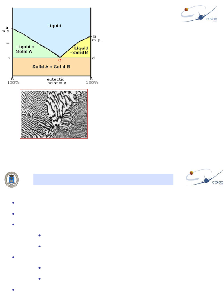T2-Diagramas de Fases-Mgp-2024 | PDF