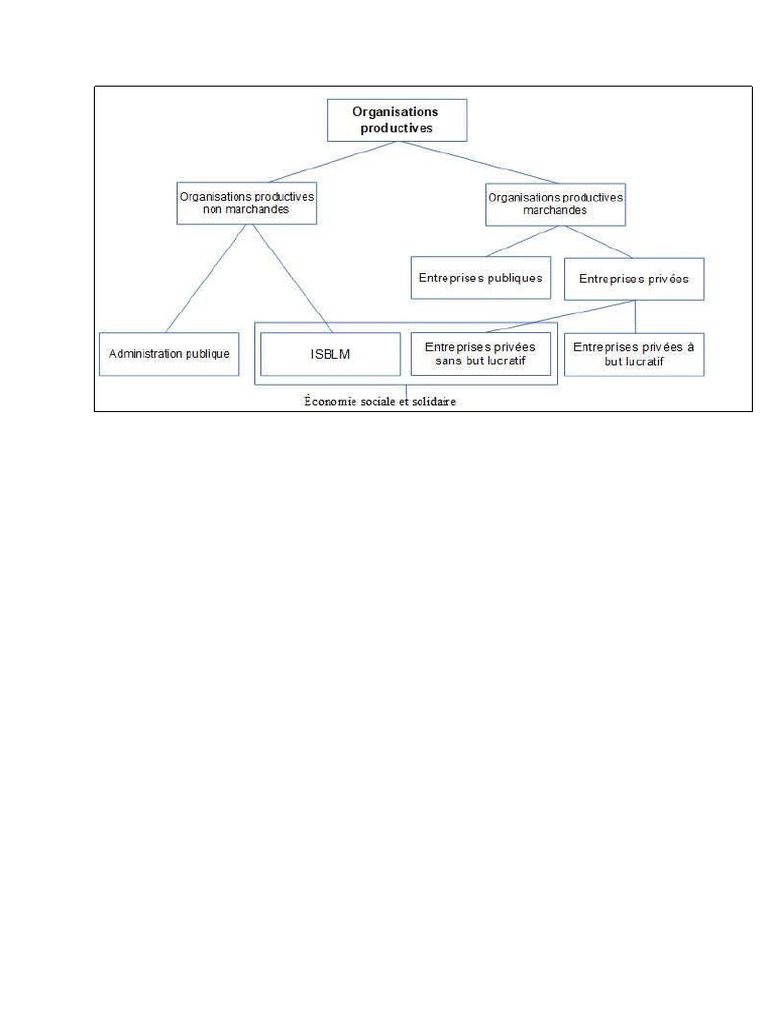 Schéma Organisations Productives 2 | PDF