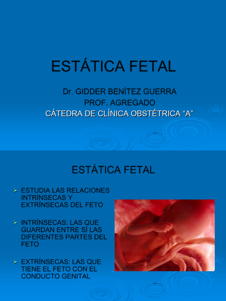 Clase 16 - Estática Fetal (B) | PDF