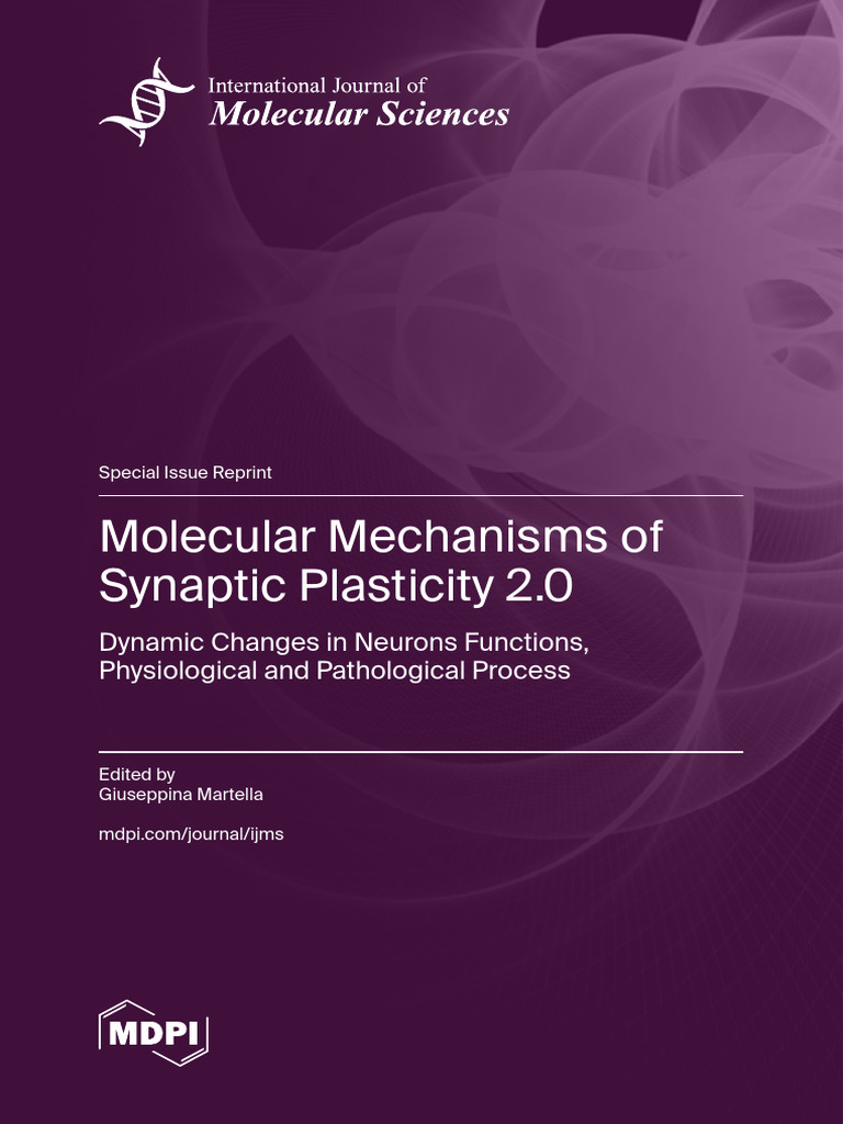 Molecular Mechanisms of Synaptic Plasticity 20 Dynamic Changes in Neurons FunctionsPhysiological ...