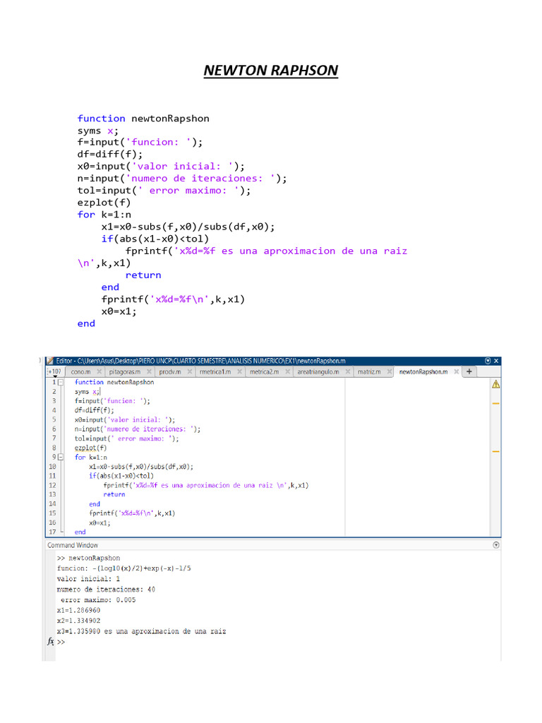 Newton Raphson | PDF