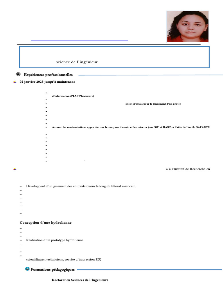 Salma HAZIM Cv 2 | PDF