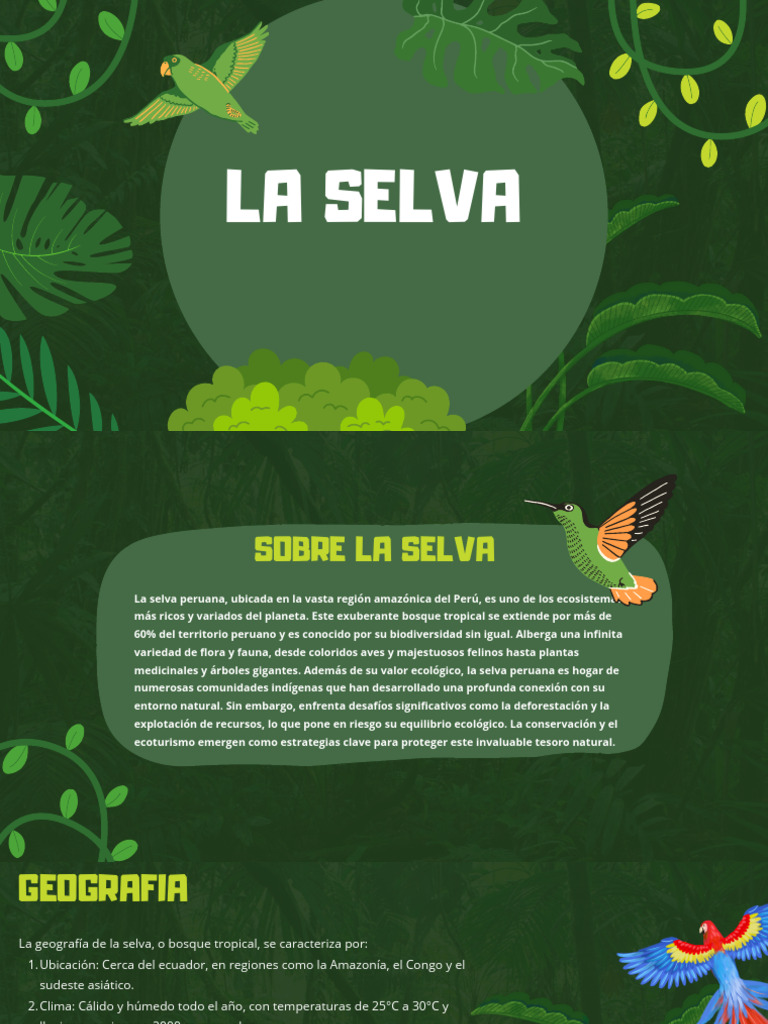 Presentación Juego Infantil Jungla Ilustrativo Verde | PDF ...