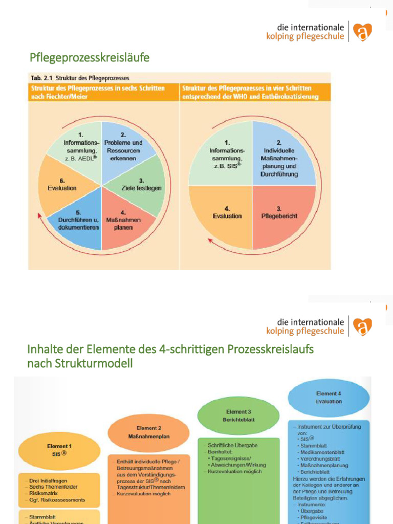 CE - 02 Pflegeprozess Strukturmodell | PDF