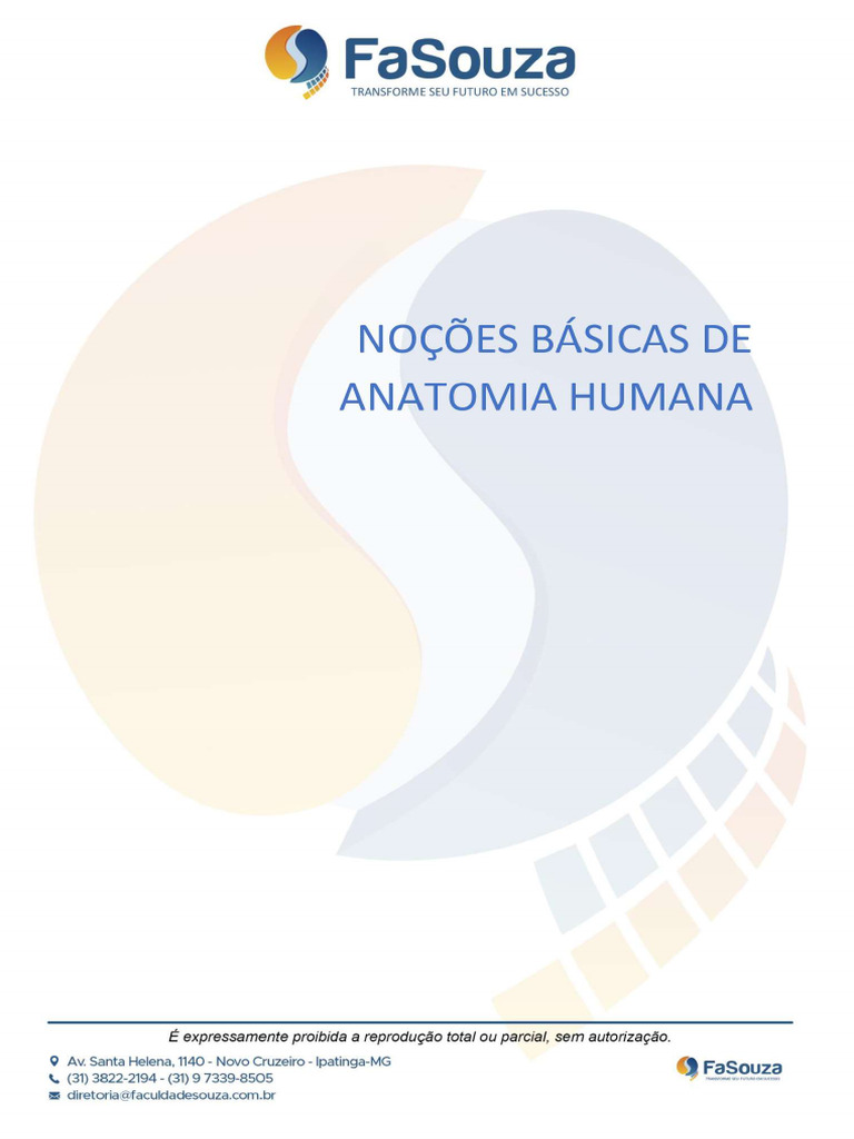 Apostila Anatomia Básica Pdf