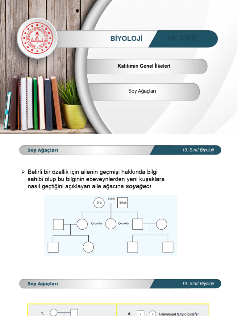 HCPG 40 Ghy 4 e | PDF