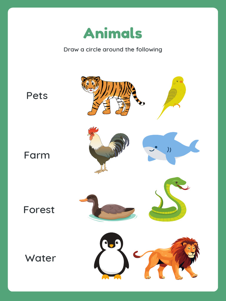 Science Worksheets kg2 | PDF