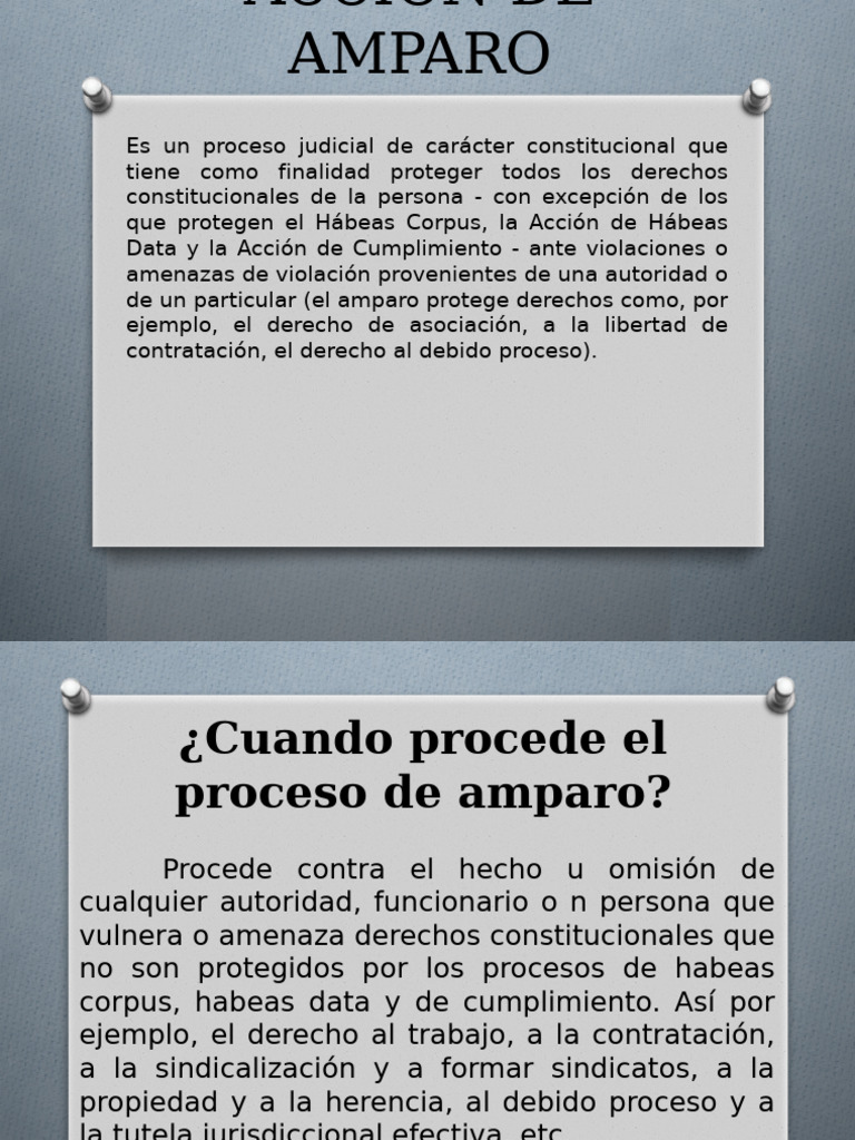Accion de Amparo | PDF