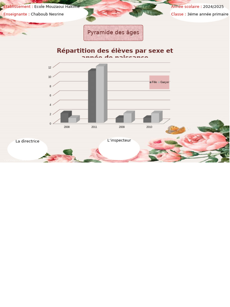 Pyramide Des Ages 3 1 1 | PDF