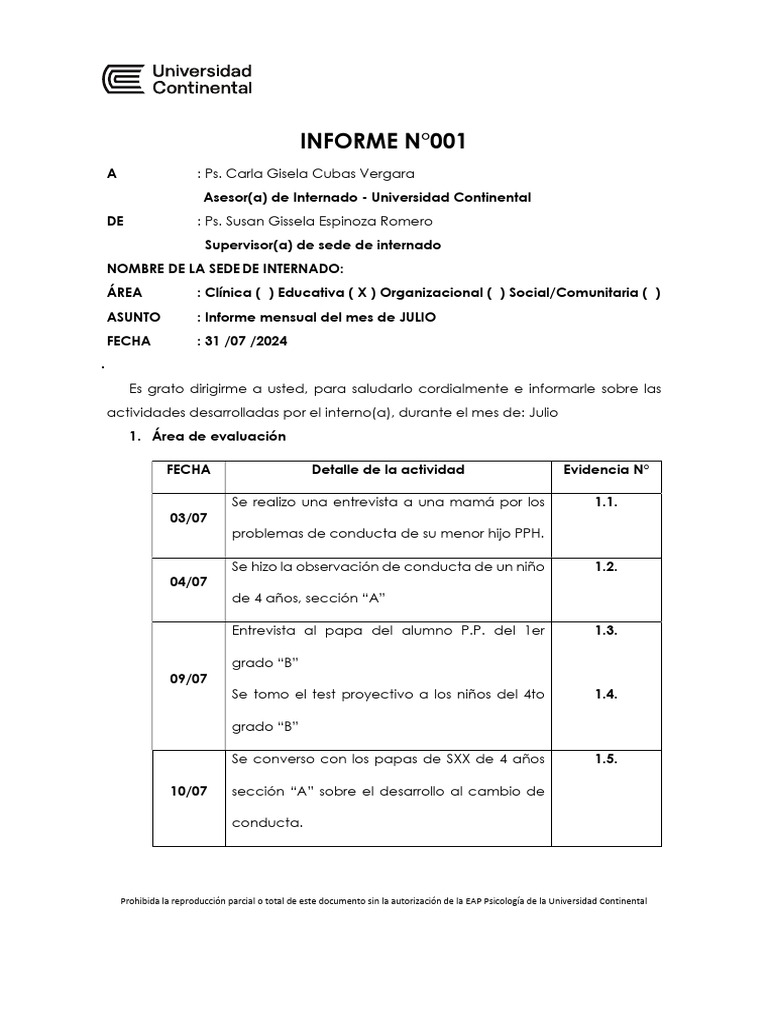 Informe Mensual 1 | PDF