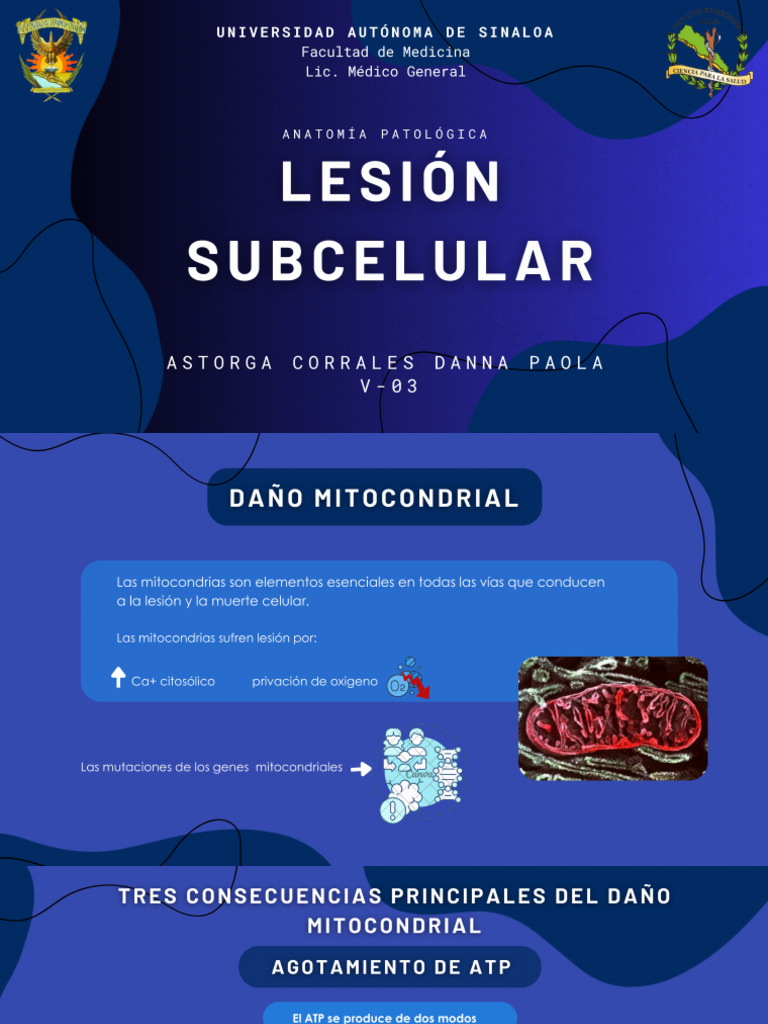 Lesion Subcelular DPAC | PDF