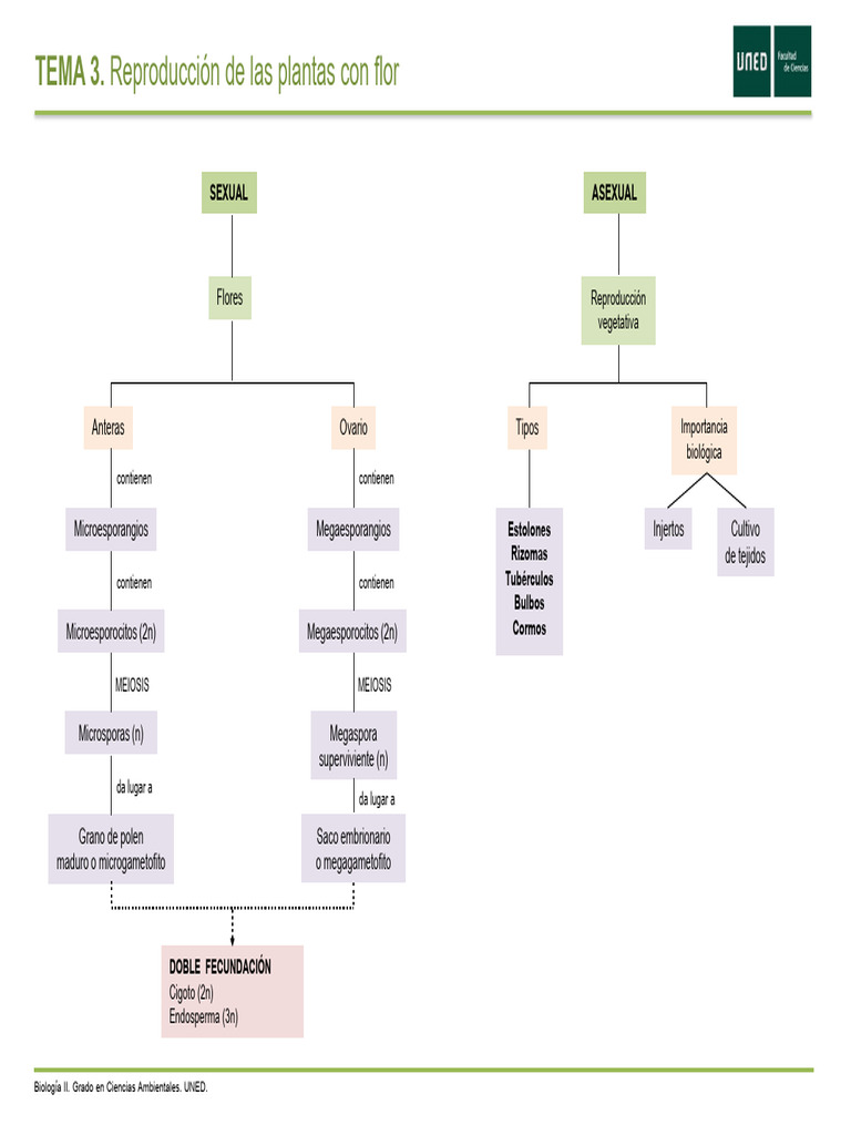 Mapa_conceptual_TEMA_3 | PDF